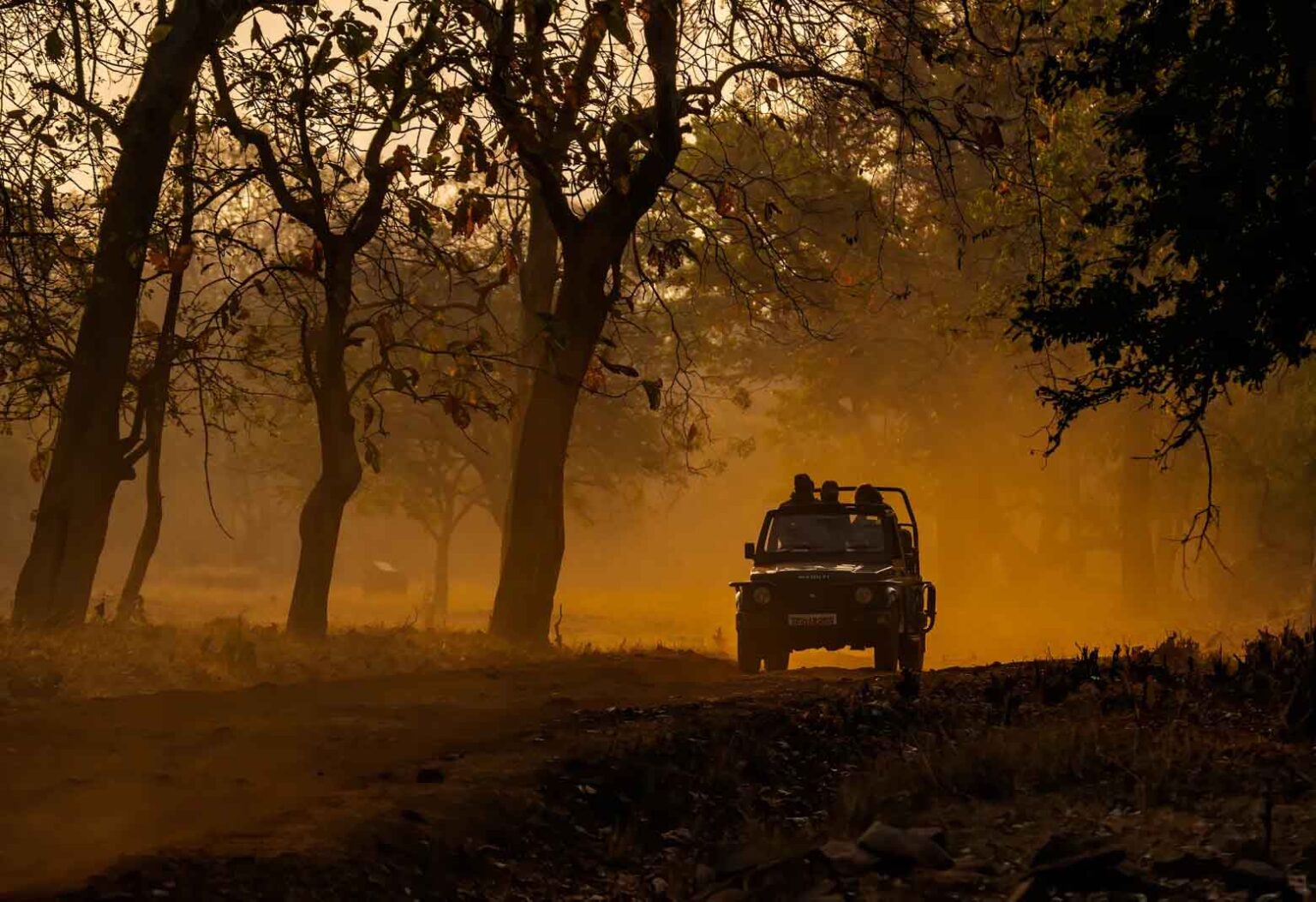 Tadoba - Chinkara Journeys